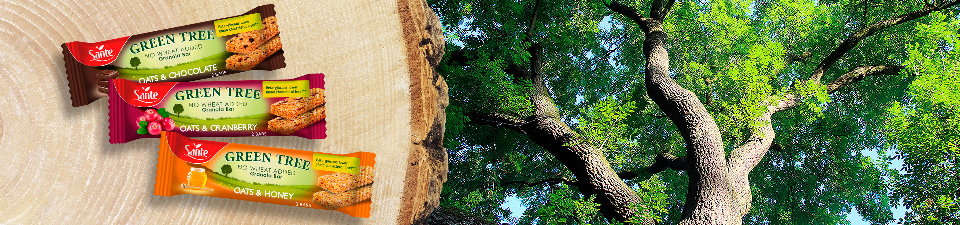 green_tree_sante - Sante Export